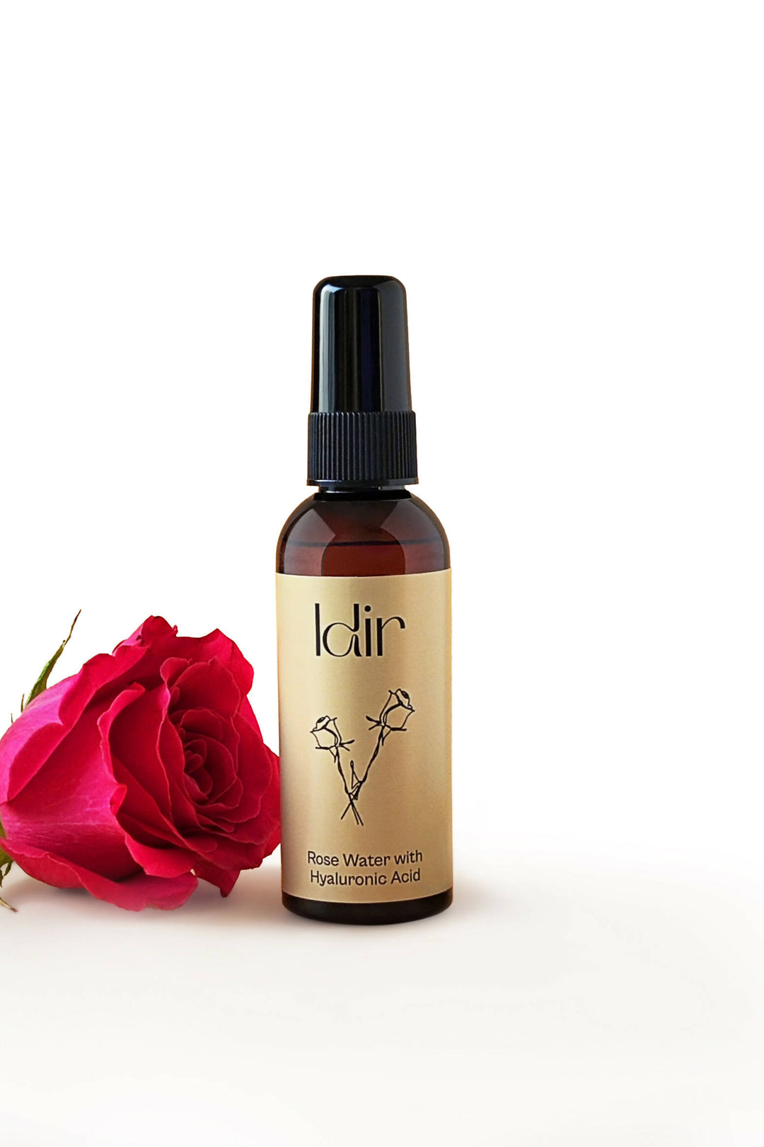 Beauty – LINK